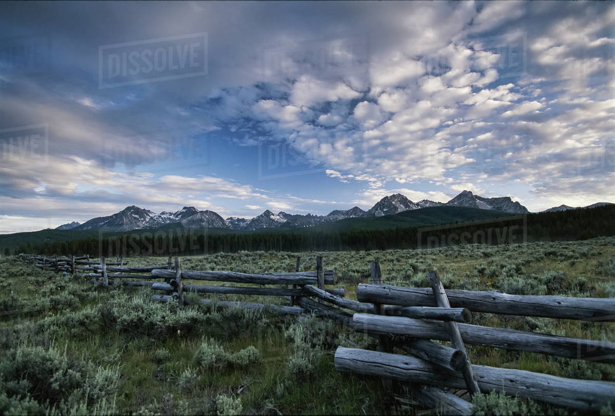 Sawtooth Range, part of the Rocky Mountains, is a backdrop for a split ...