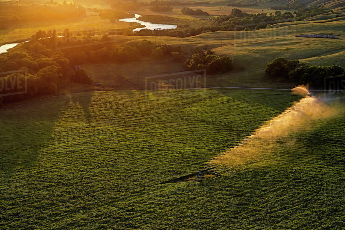 A center-pivot irrigation system.; Nebraska. - Stock Photo - Dissolve
