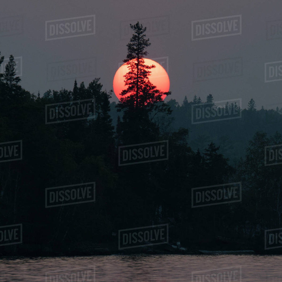 Large glowing sun sinks behind silhouetted trees; Lake of the Woods ...