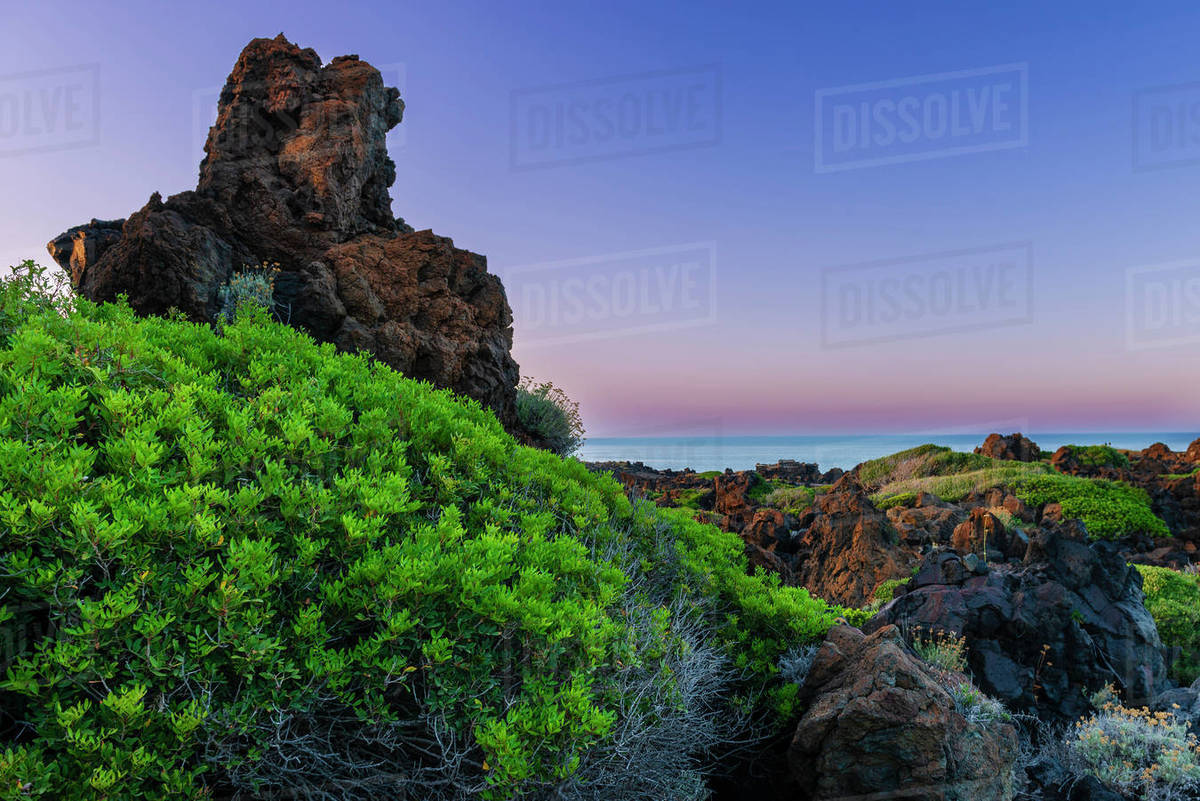 Close-up of green shrubs and volcanic rock formations along the coast ...