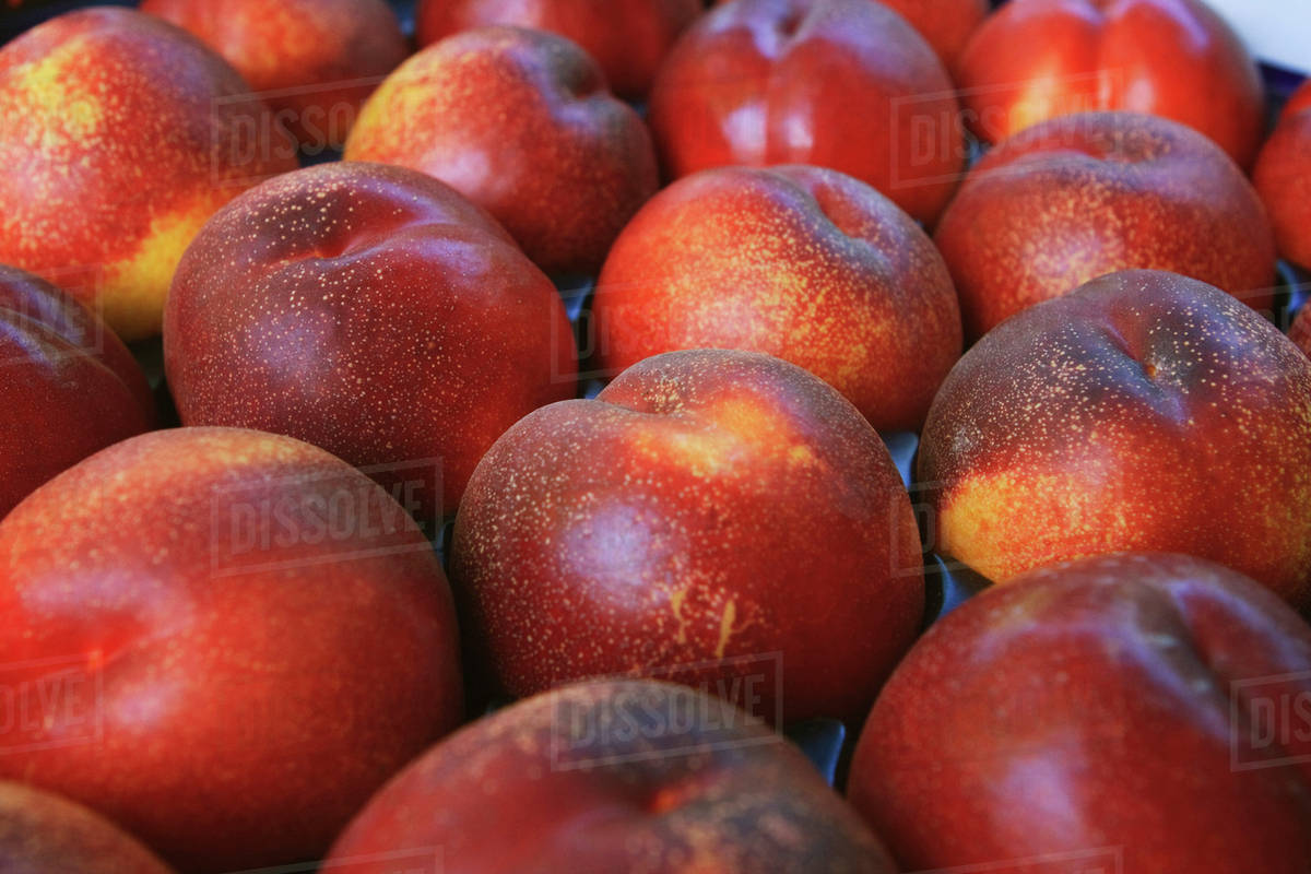Agriculture - Closeup of harvested yellow flesh nectarines, packed in a ...