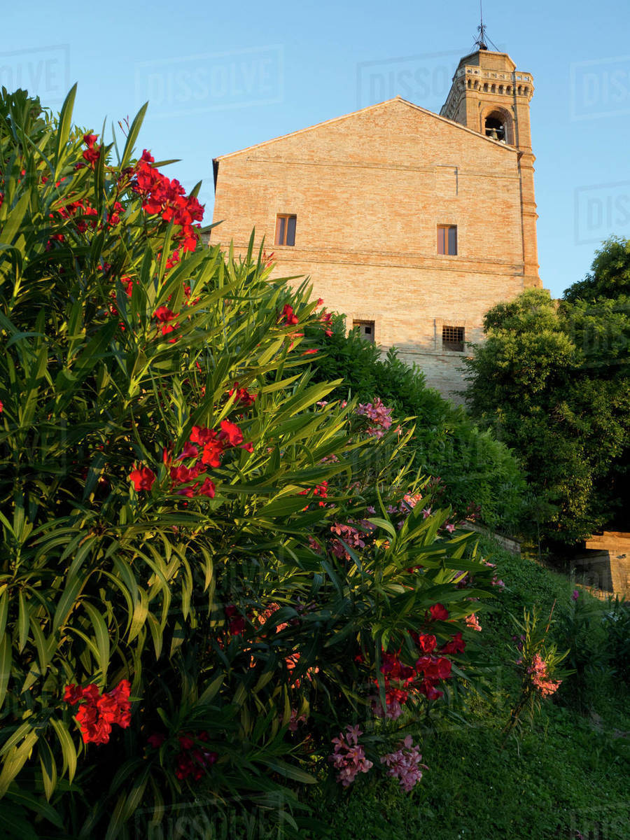 Renaissance brick townhouse with church bell tower and flowering ...