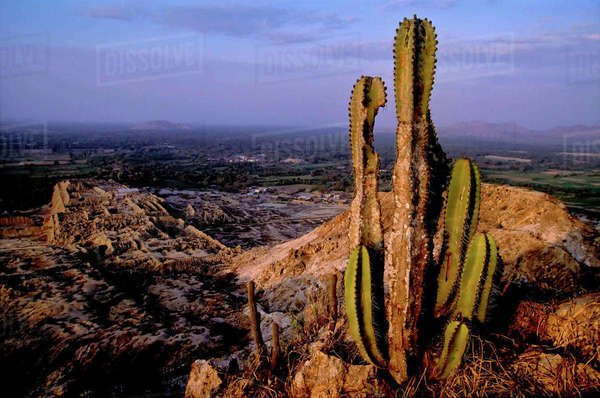 La Raya Mountain overlooks the ancient city of Tucume; Cerro la Raya ...