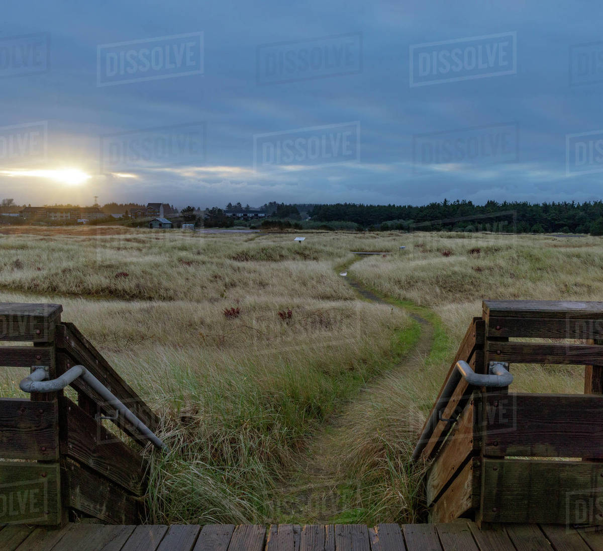 Steps with railing to pathway through a beach grass field along the ...