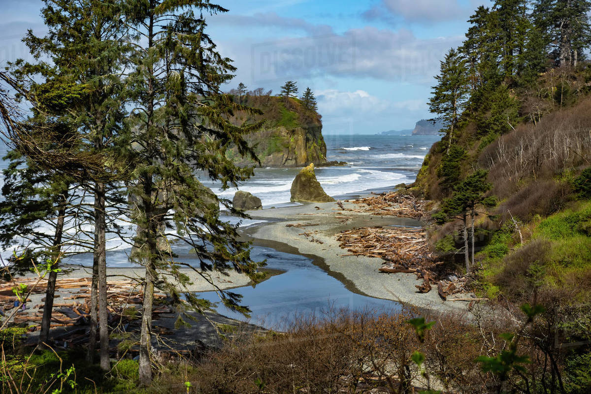 Overlook at Ruby Beach, Cedar Creek, and the rocky Pacific Coast in the ...