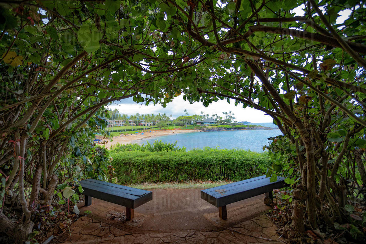 Shady sitting area with benches and view through the trees towards the ...