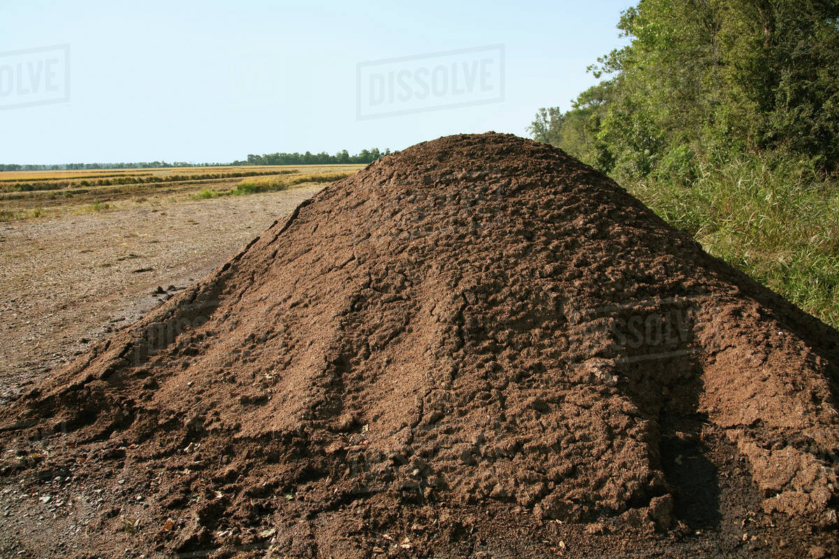 Agriculture - Poultry house litter piled up at the edge of a field, to ...