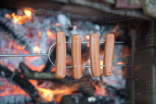 Hot dogs roasting over a fire in a backyard fire pit; Lincoln, Nebraska ...