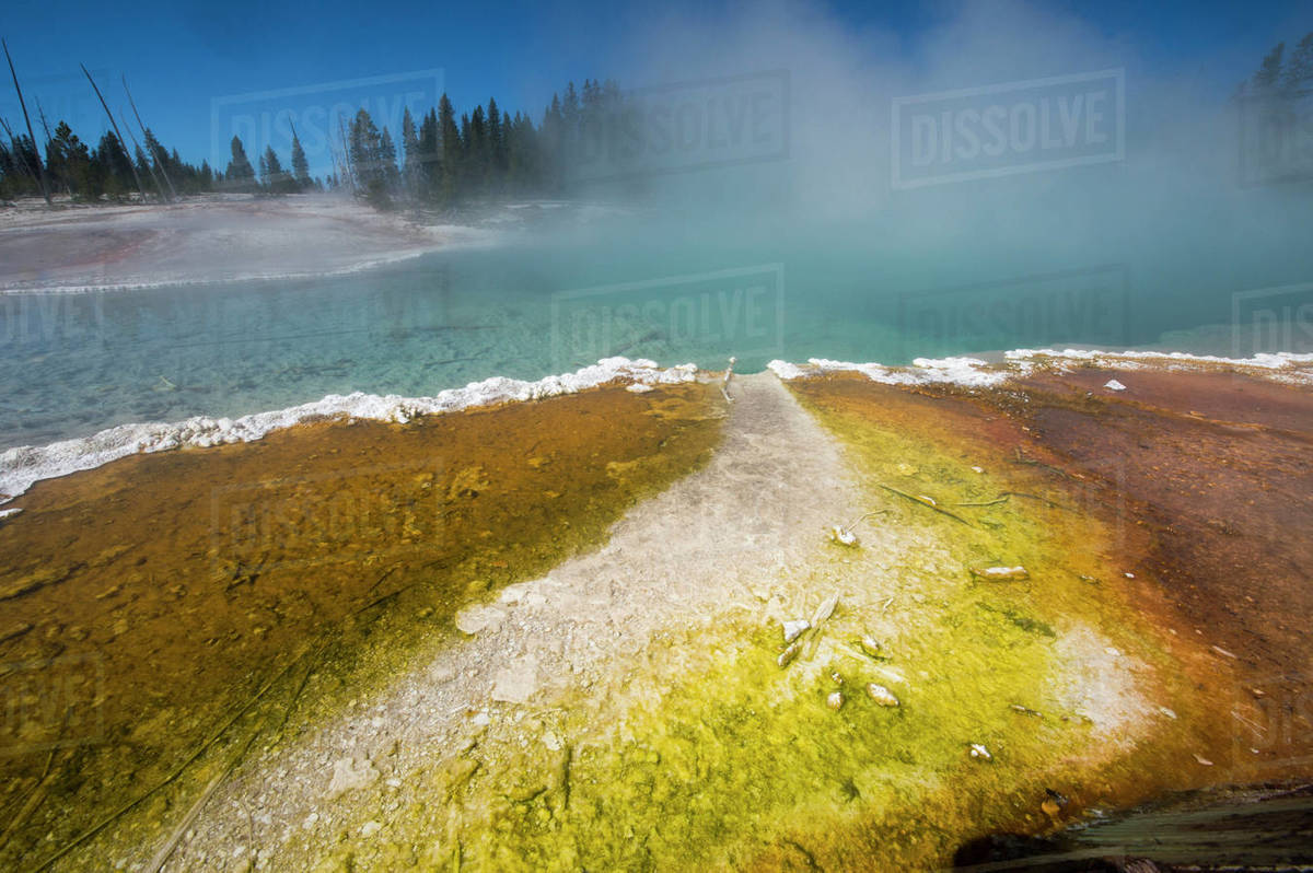 Steam rises from the water at a geothermal feature in Yellowstone ...