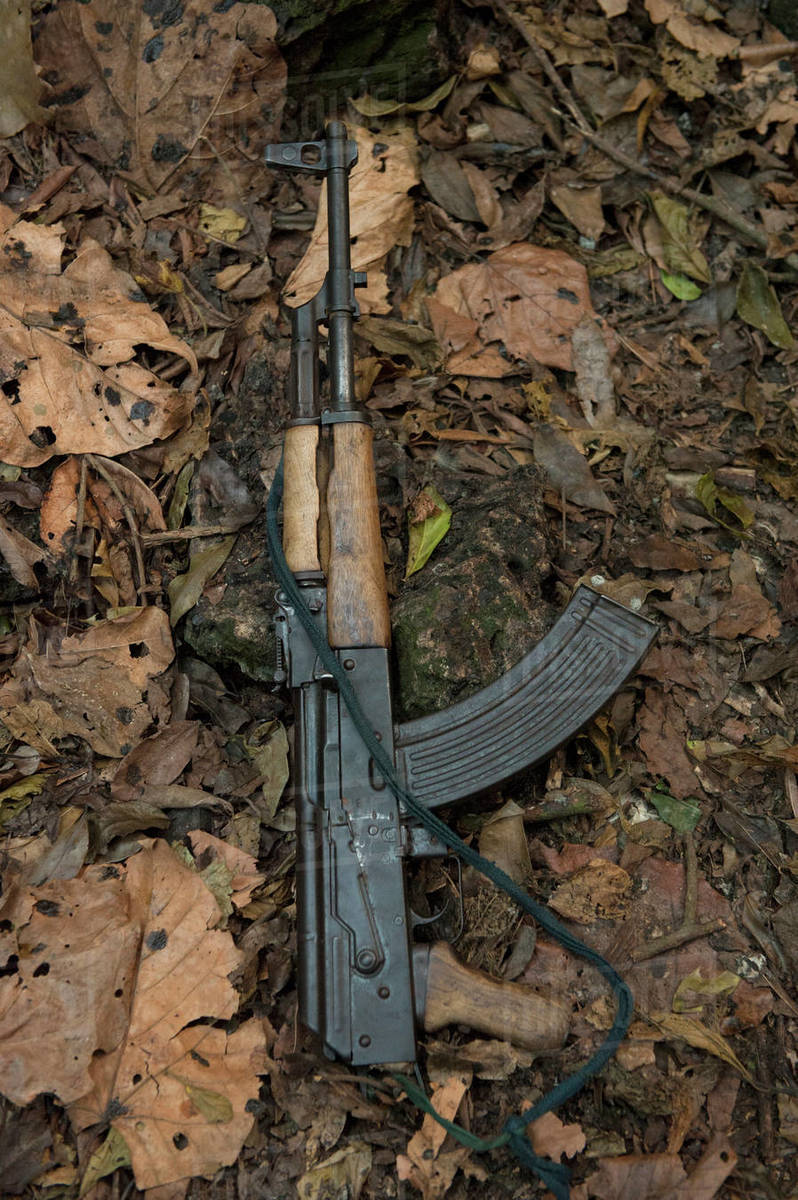 Machine gun lying in leaf litter on the ground, belonging to a national ...