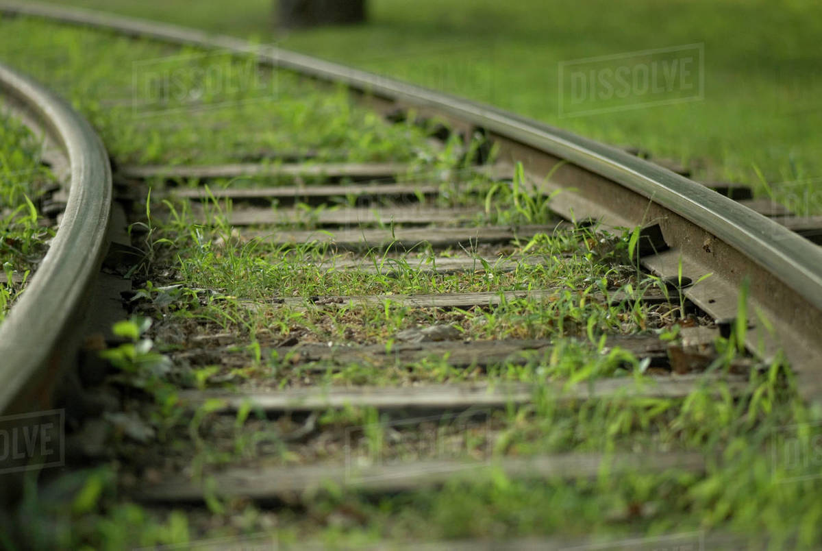 Grass grows between the railroad tracks at the Henry Doorly Zoo; Omaha ...