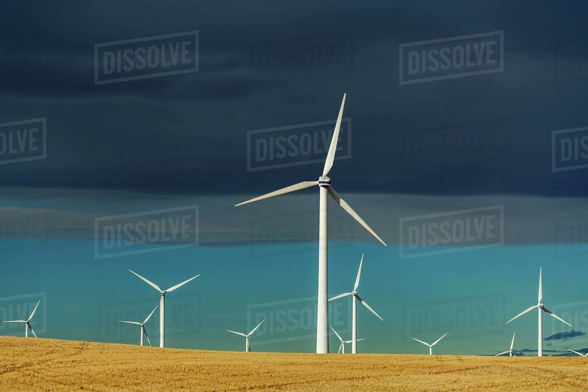 Large metal wind turbines in a rolling stubble field with Chinook arc ...