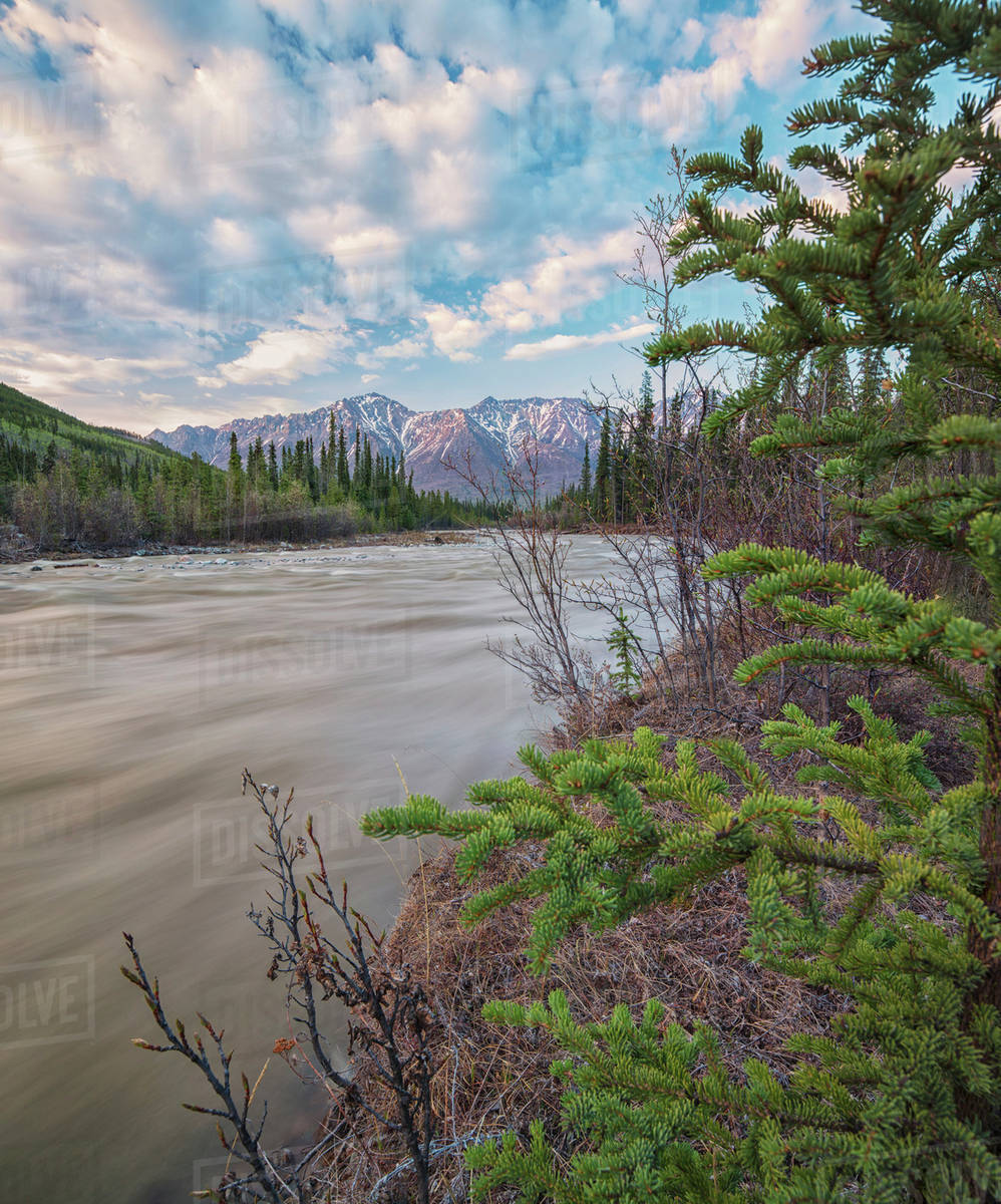 The Wheaton River flows south towards Bennett Lake; Whitehorse, Yukon ...