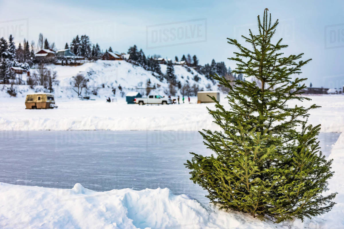 A view of a skating rink on Windermere Lake with a Christmas tree and ...