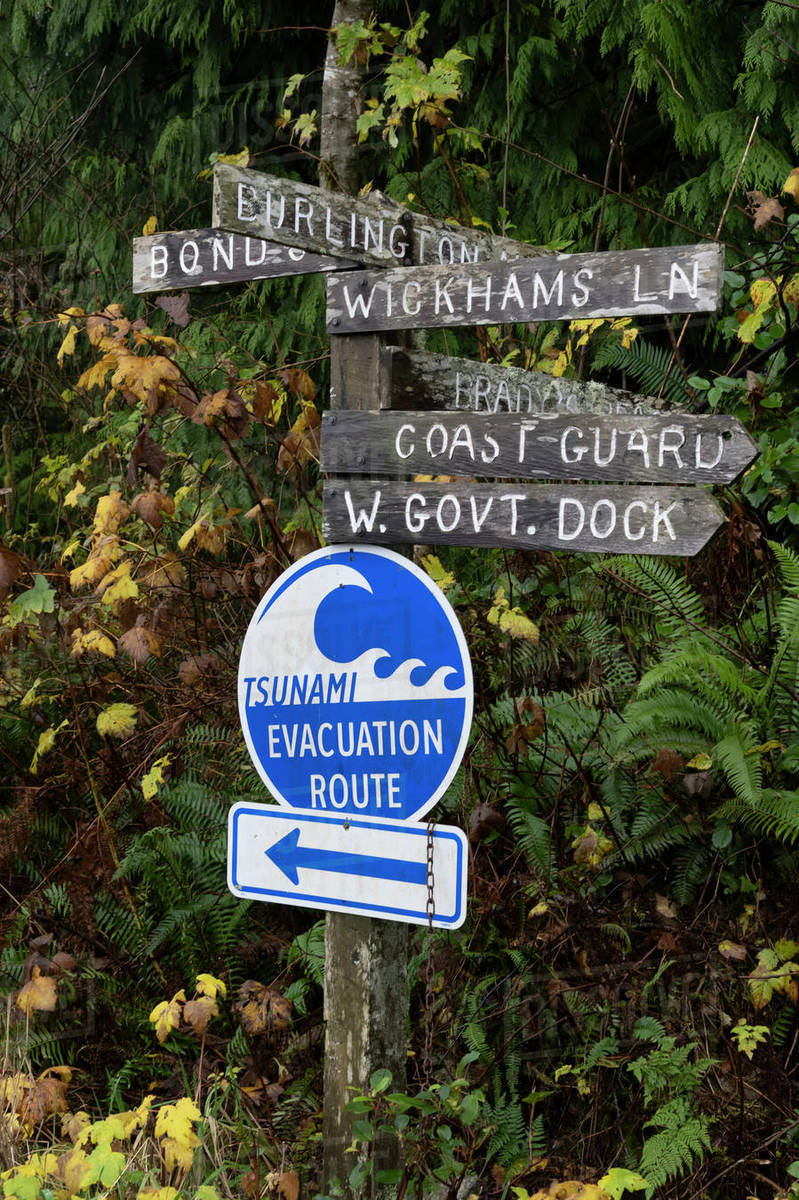 Signpost with landmark and Tsunami Evacuation route signs in Bamfield ...