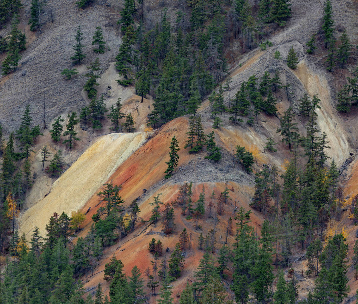 Silt and erosion on a mountainside with trees creates a colourful ...