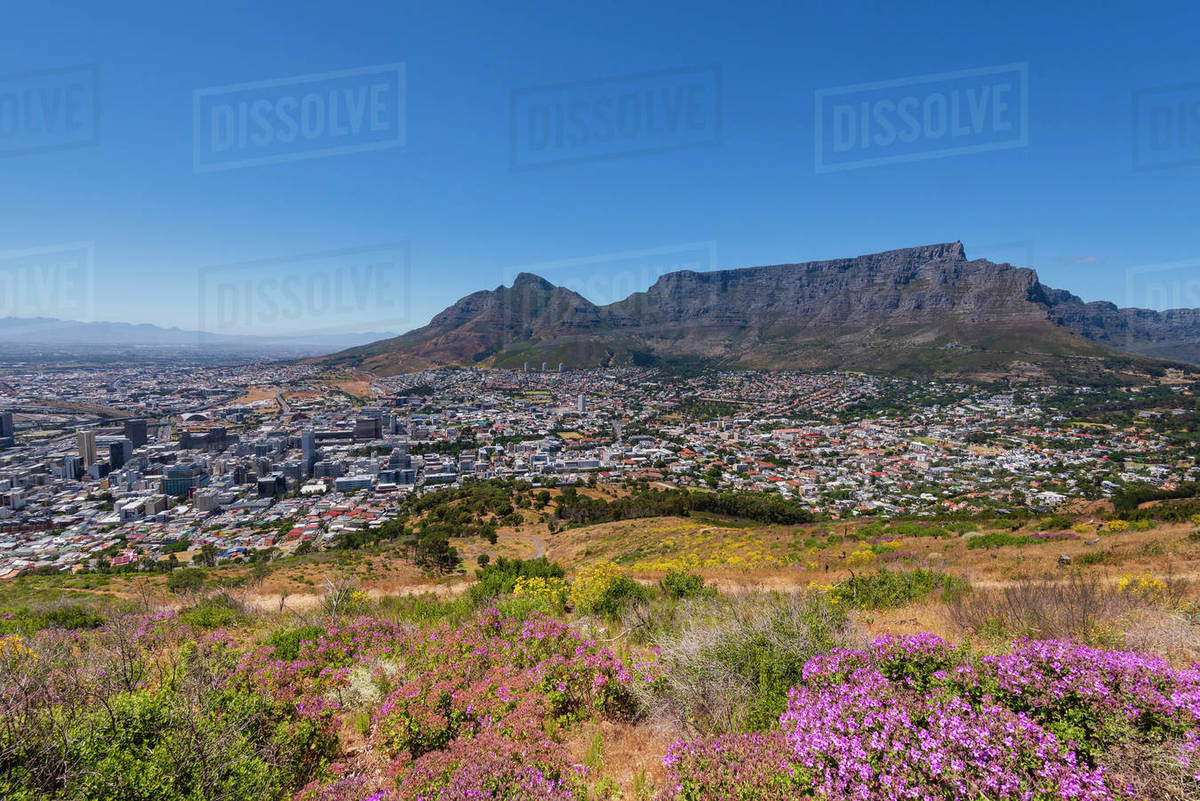 Overview of Cape Town city skyline and Table Mountain from Signal Hill ...
