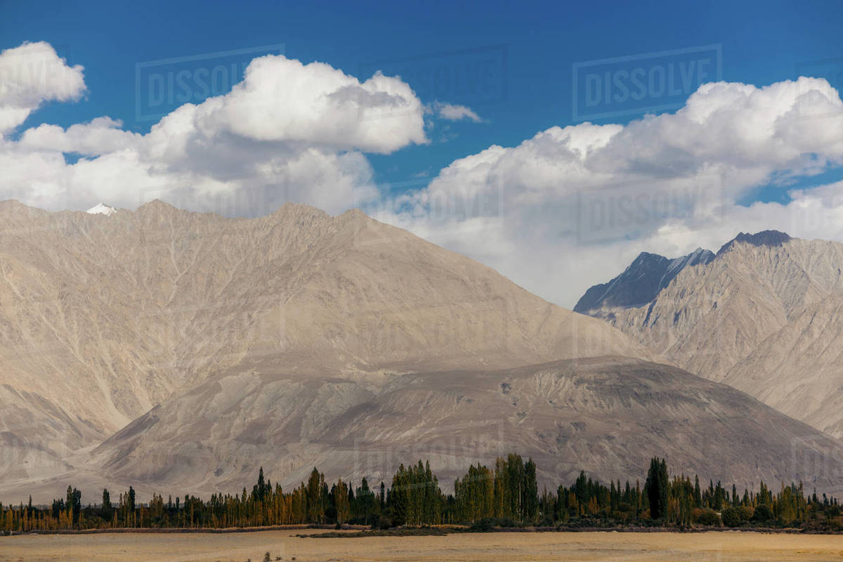 Rugged bare rock mountains and trees in the Nubra valley below with ...