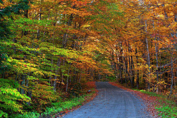 Country Road In Autumn Colours; West Bolton, Quebec, Canada - Stock ...