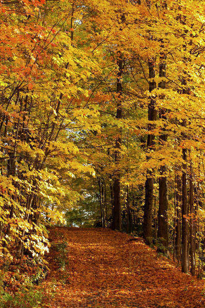 Autumn Dunham's Instagram, Twitter & Facebook on IDCrawl