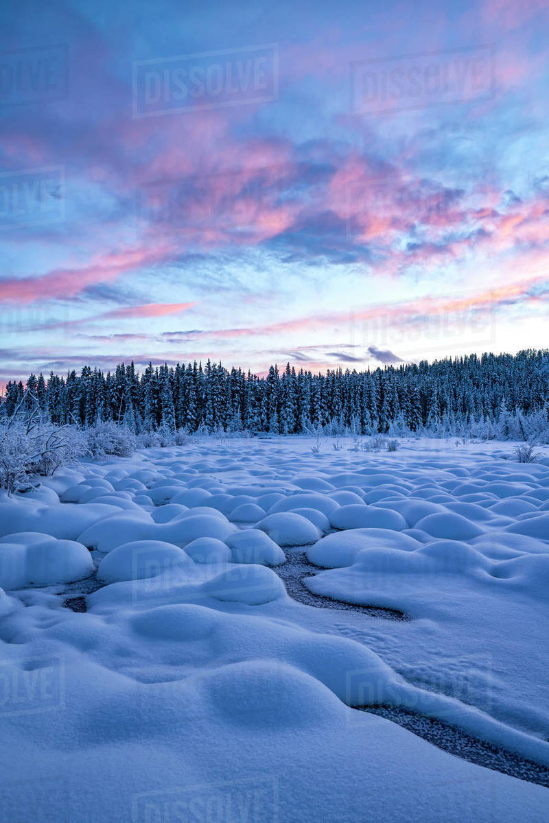 Stunning landscape of snowy mounds and conifer forest with sunset ...