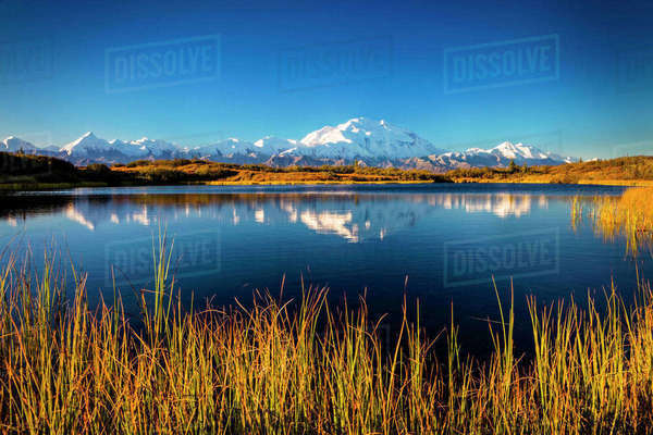 Perfect mirrored reflection of Mount Denali (McKinley) on the calm ...