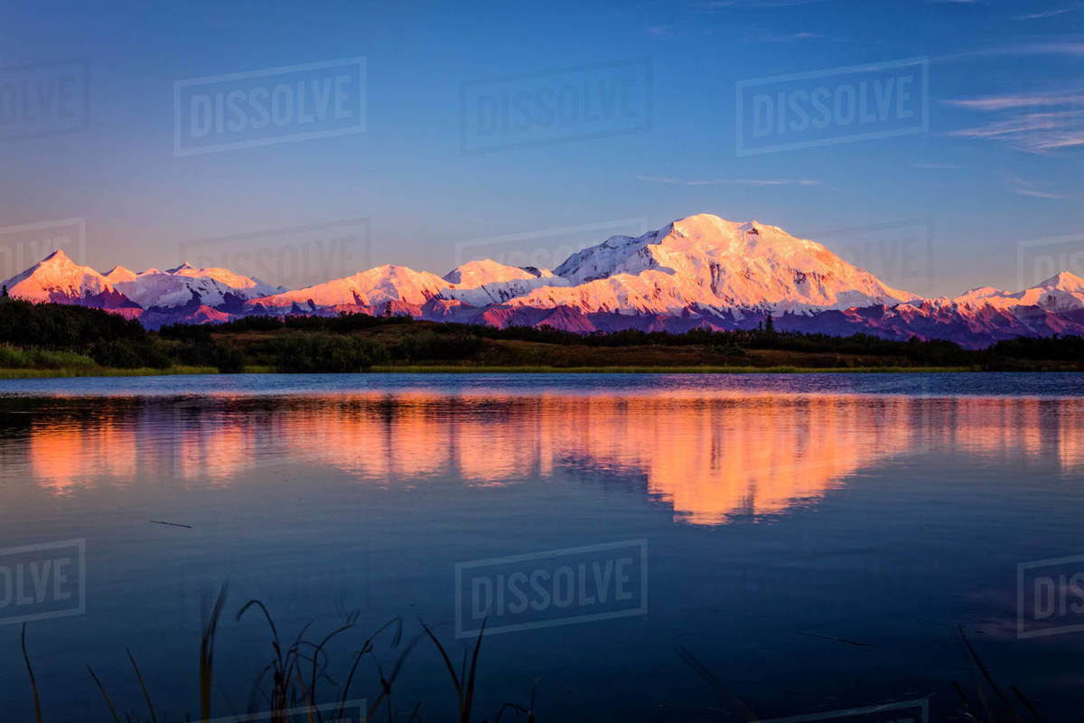 Sunset glow on Mount Denali (McKinley) reflecting on the Reflection Pond; Denali National Park ...