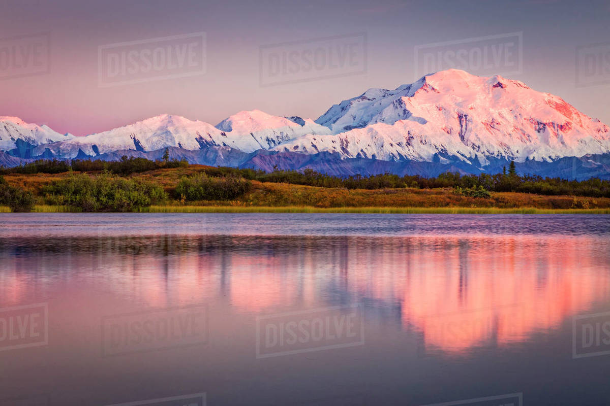 Close-up of Mount Denali (McKinley) with a rose color glow, reflecting ...