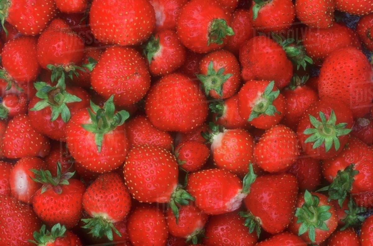 A Group Of Strawberries - Royalty-free Stock Photo | Dissolve