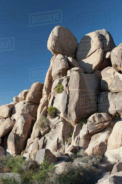 Rounded Rock Cliff In Desert With Shrubs And Deep Blue Sky; Palm ...