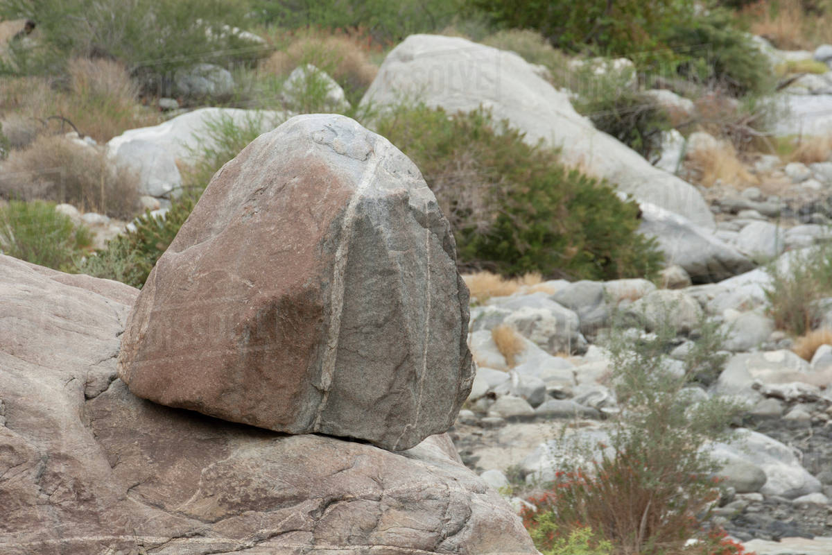 Rounded Rock On Top Of Boulder In The Desert With Green Shrubs In The ...