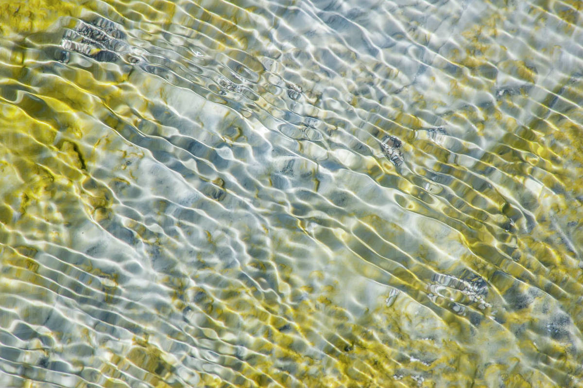 An abstract pattern of ripples on water's surface over algae and rocks ...