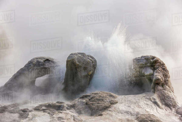 Steam and splashing water at the eruption of Grotto Geyser in Upper ...