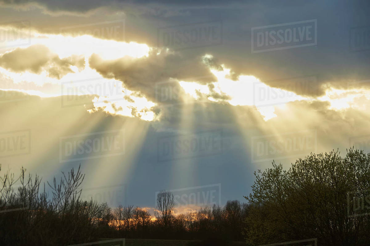 Rays of sunshine coming through dark clouds with silhouetted trees ...