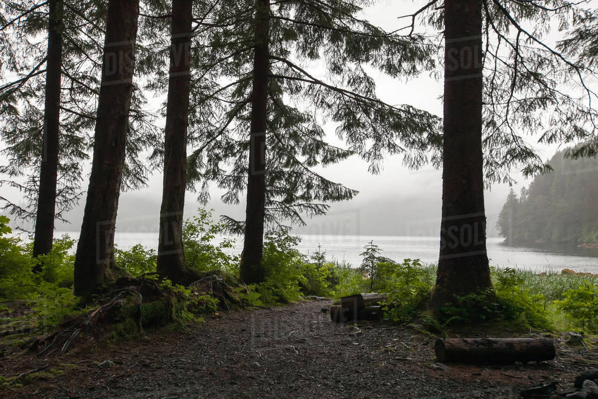 Along a tree-lined trail, a lookout offers views over the water.; Sitka ...