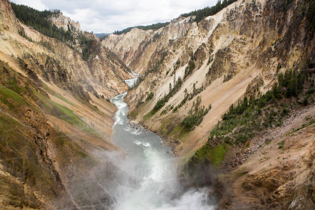 Yellowstone River carves the Grand Canyon of Yellowstone, seen from ...