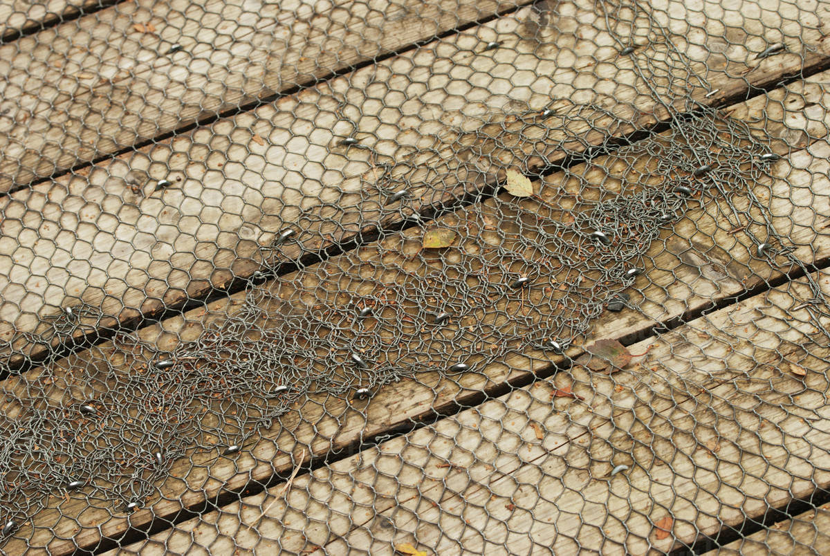 Wire Mesh Over Wooden Boards; Ireland - Royalty-free Stock Photo | Dissolve