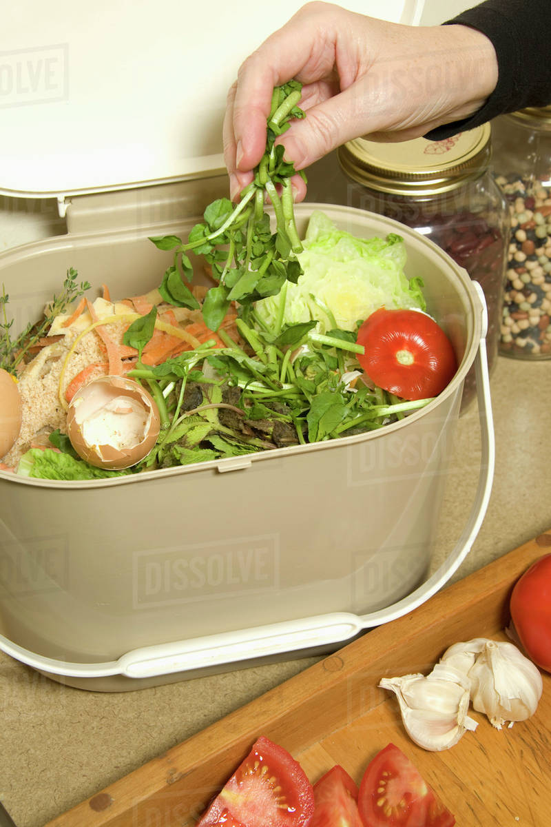 Organic Recycling, Kitchen Compost Pail - Stock Photo - Dissolve