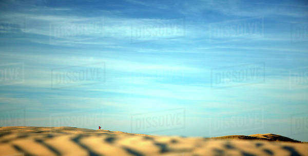 Desert-Like Conditions In The Fragile Ecosystem Of The Great Sand Hills ...