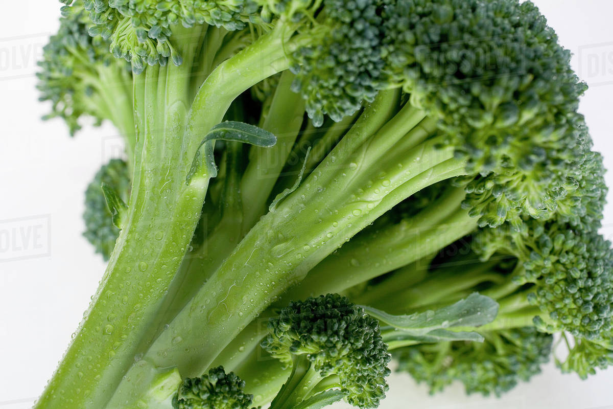 Close-Up Of Broccoli - Royalty-free Stock Photo | Dissolve