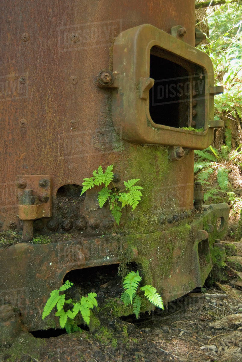 Rusty Boiler From A Steam Engine Used For Logging In The Early 20Th ...