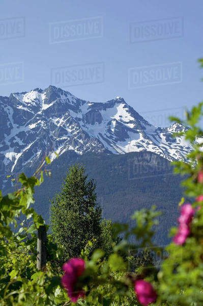 Mount Currie, Pemberton, Bc, Canada - Royalty-free Stock Photo | Dissolve