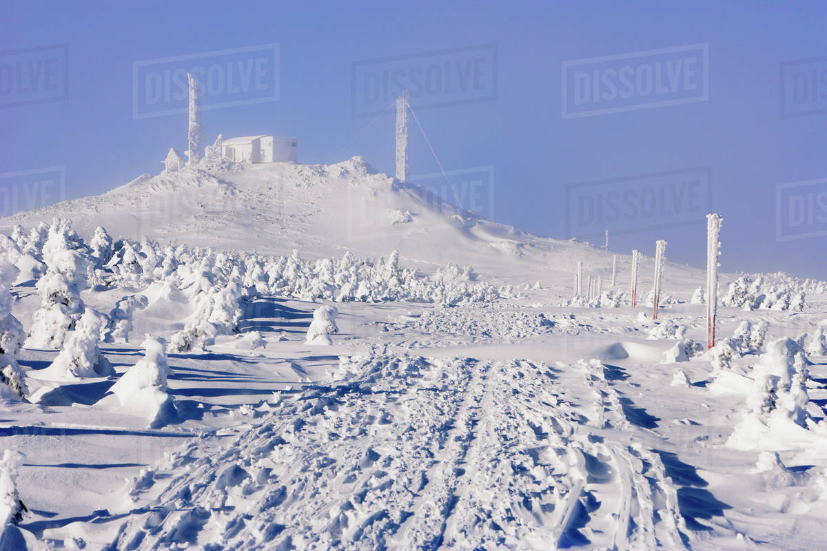 View Of Path And Snow-Covered Trees At Top Of Mont Logan, Quebec ...