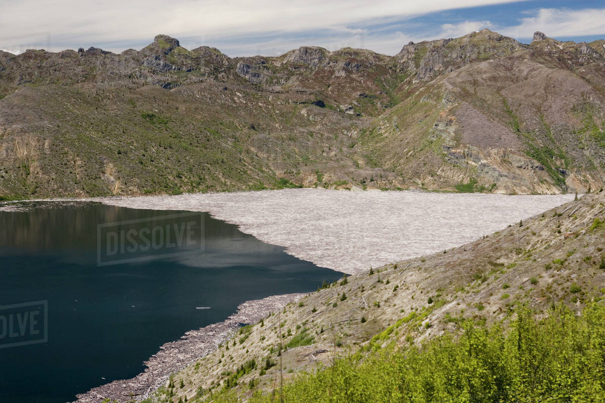 Logs In Spirit Lake As A Result Of The Blowdown From The 1980 Mt. St ...