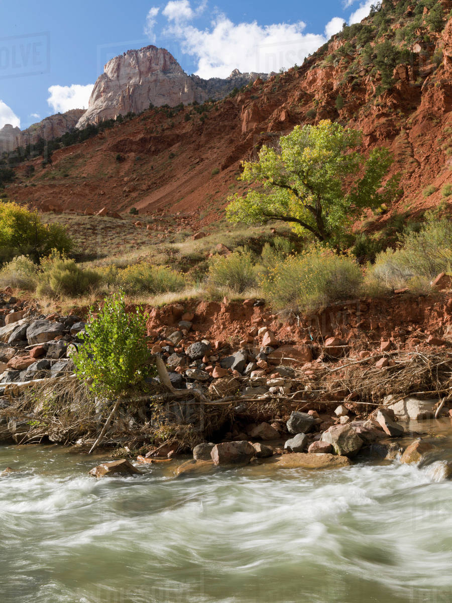 A River Flows Through Zion National Park; Utah, United States of ...
