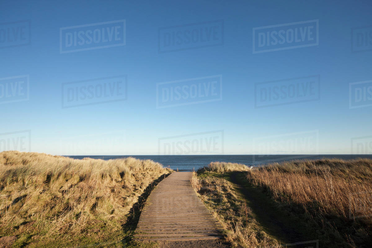 A Path Leading To The Ocean At Druridge Bay; Northumberland, England ...