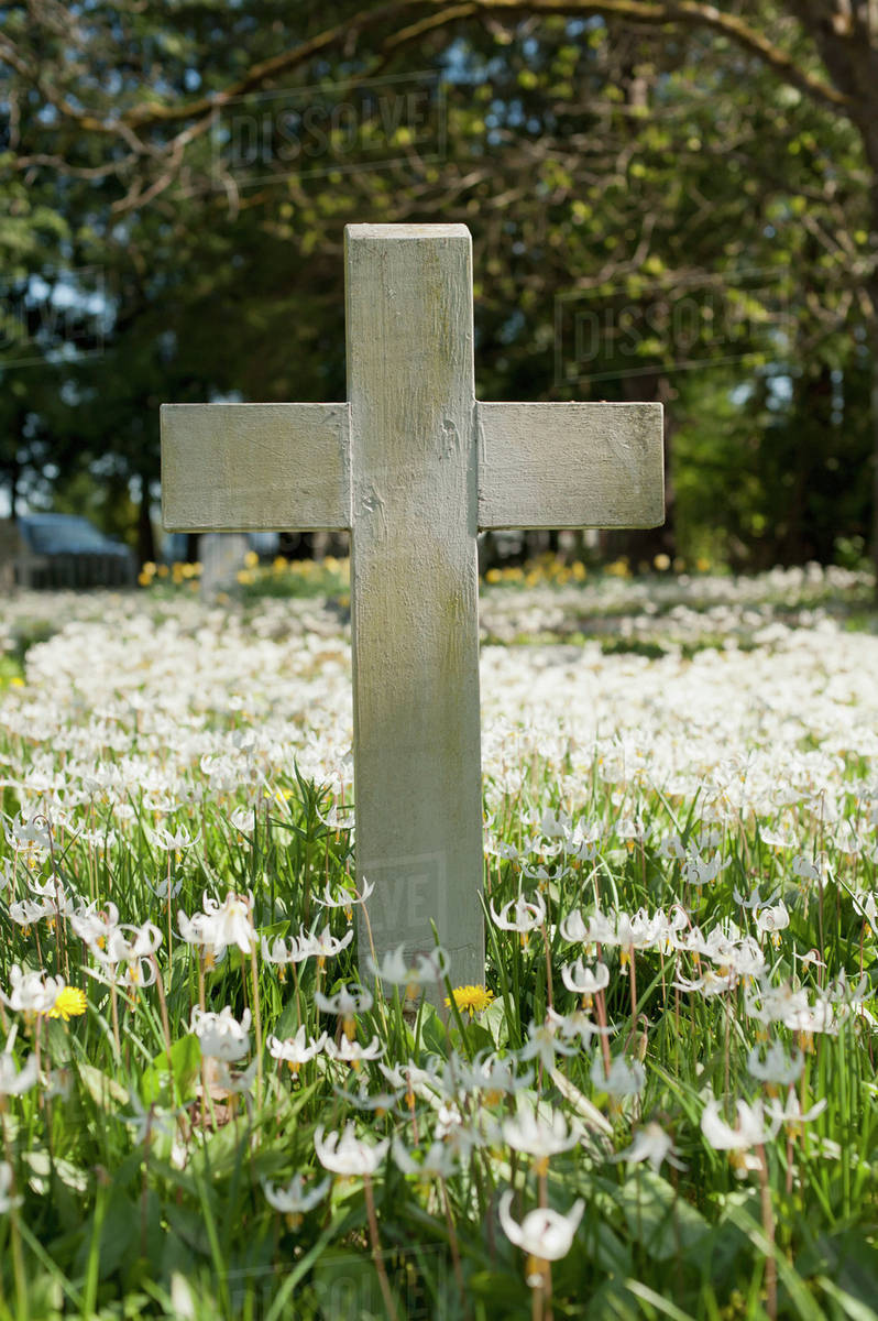 A cross in a field of wildflowers;Metchosin british columbia canada ...