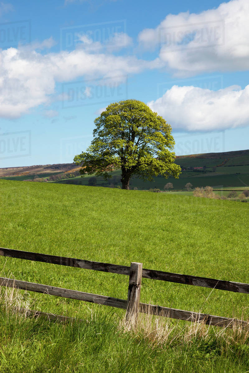 Grass fields on rolling hills;Northumberland england - Royalty-free ...