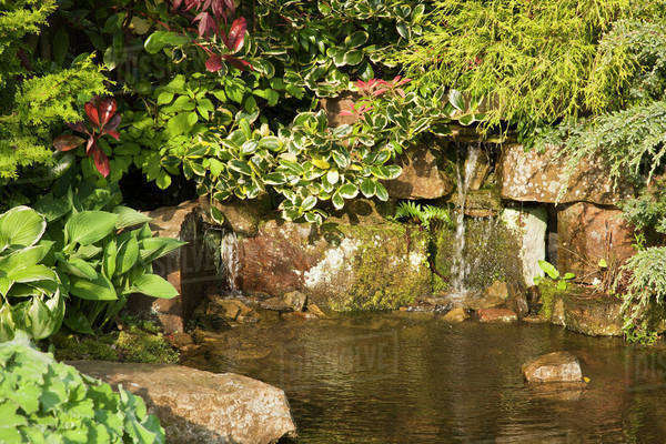 Ornamental rock garden with pond;England - Stock Photo - Dissolve