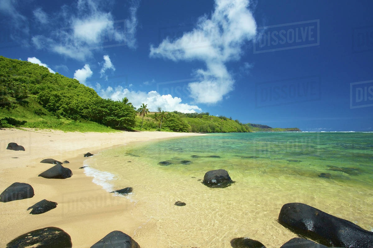 Black rocks scattered on a beach along the coastline of an hawaiian ...